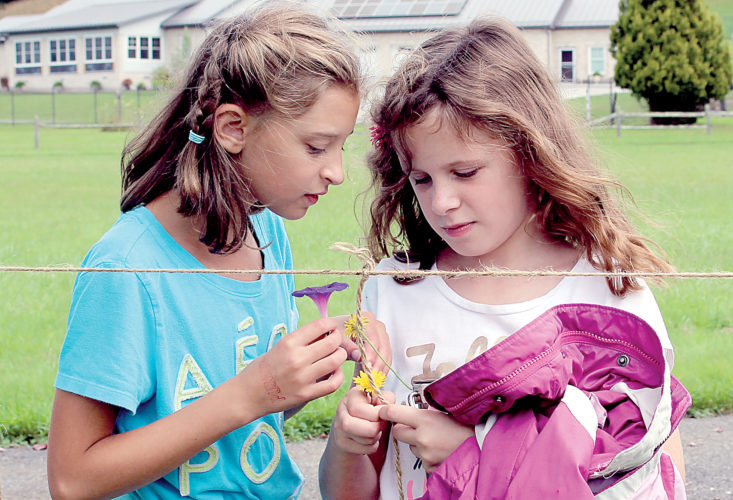 Wonder & Grow | News, Sports, Jobs - The Intermountain